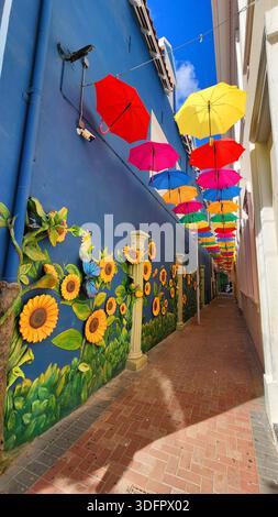 Smallesteeg Umbrella Street Alley Willemstad Curacao Netherland ...