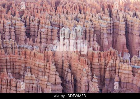Picturesque colorful pink rocks of the Bryce Canyon National park in ...