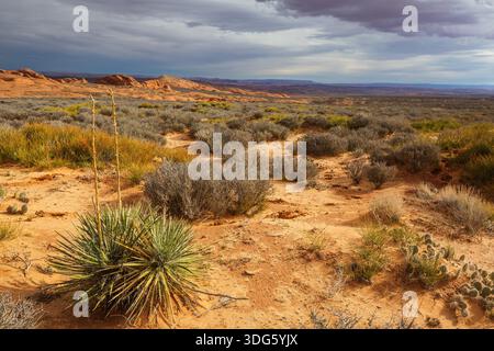 American landscapes- prairie and cliffs, Utah, USA Stock Photo - Alamy