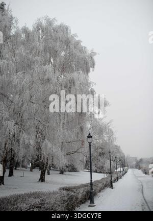 Almaty, Kazakhstan. 16th Jan, 2026. A pedestrian walks amid snowfall on ...