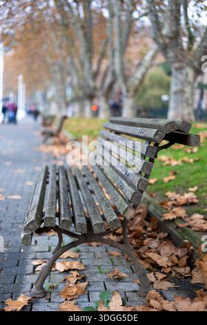 Autumn alley with fallen autumn leaves. Lonely alley with fallen autumn ...