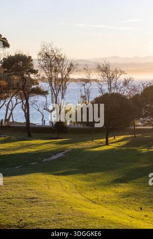 Warm golden hour light illuminates her face as she enjoys a serene ...