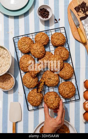 Oat and chocolate cookies selection on wooden board on stone kitchen ...
