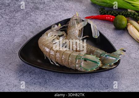 Raw wild mantis shrimps for cooking Stock Photo - Alamy