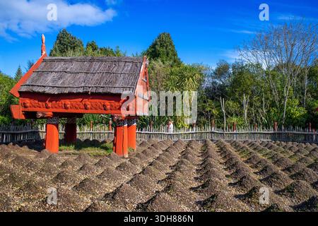 Hamilton Gardens in New Zealand Stock Photo - Alamy