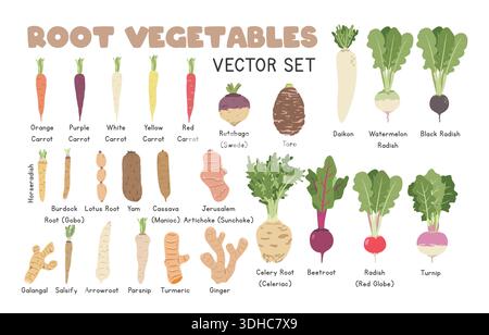 Set of vegetable cartoon illustration Stock Vector Image & Art - Alamy