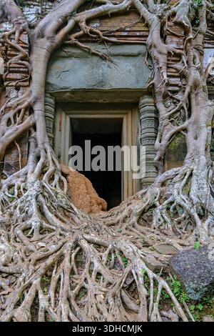 Cambodia, Koh Ker, former Khmer capital in X century under Jayavarman ...