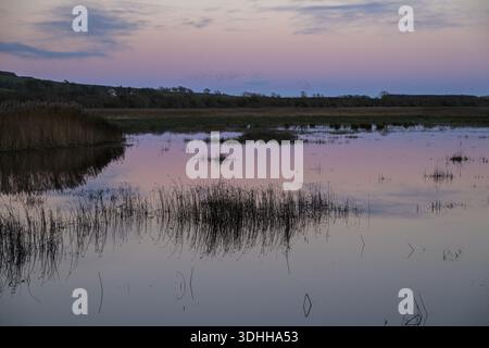 Sunset over the Solway at Mersehead RSPB Reserve, Dumfries and Galloway ...