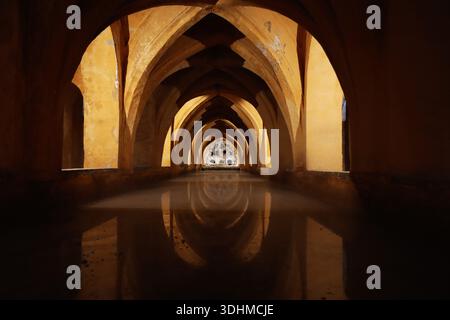 Seville, Andalusia, Spain. 22nd Jan, 2026. General views of the ...