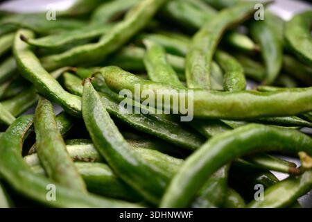 Group Of Hyacinth Bean or Same Ki Phalli Lablab Purpures, Also Known As ...