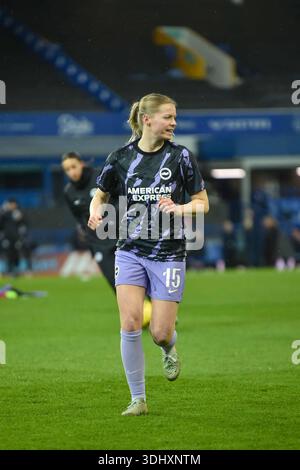 during the Barcleys WSL match between Everton and Brighton at Goodison ...