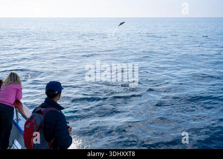 Dana Wharf whale watching vessel Dana Pride in Dana Point, California ...