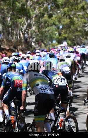 23-01-2026 Tour Down Under; Tappa 03 Henley Beach - Nairne; 2026 ...