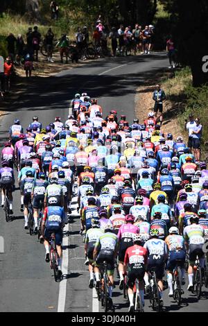 22-01-2026 Tour Down Under; Tappa 02 Norwood - Uraidla; 2026, Australia ...
