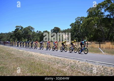 23-01-2026 Tour Down Under; Tappa 03 Henley Beach - Nairne; 2026 ...