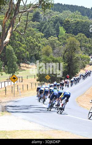 25-01-2026 Tour Down Under; Tappa 05 Stirling - Stirling; 2026, Uae ...