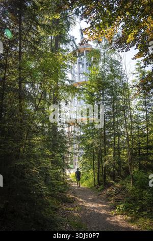 The observation tower in a forest surrounded by green vegetation Stock ...