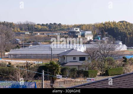 Greenhouses inside an agricultural area in Yokohama, Kanagawa ...