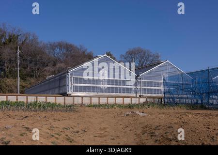 Greenhouses inside an agricultural area in Yokohama, Kanagawa ...
