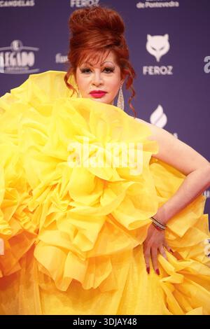 Pontevedra, Spain. 24th Jan, 2026. Leonor Watling attends the red ...
