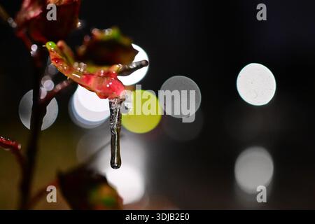 Berlin, Germany. 26th Jan, 2026. A gritting truck drives through the ...