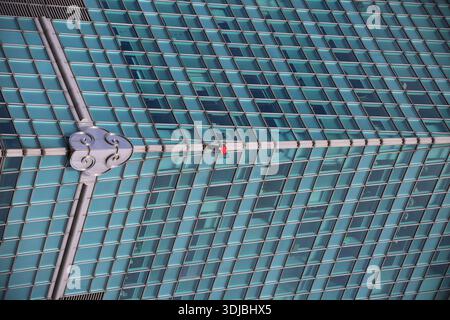 TAIPEI, CHINA - JANUARY 25, 2026 - American climber Alex Honnold climbs ...