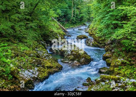 Alpine landscape with Radovna River in Vintgar Gorge, Triglav National ...