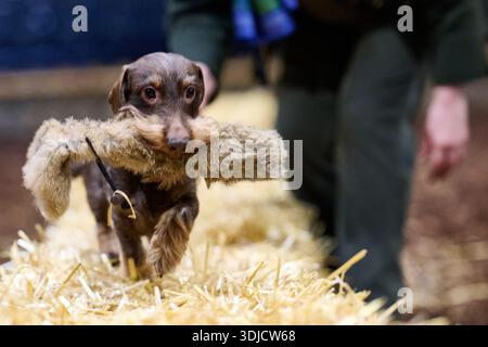 26 January 2026, North Rhine-Westphalia, Dortmund: A target in the ...