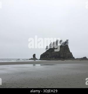 Sea stacks at Second Beach, Forks, Washington State, USA Stock Photo ...