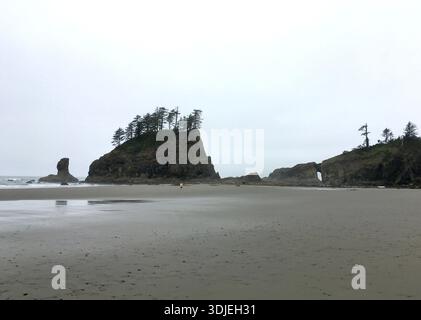 Sea stacks at Second Beach, Forks, Washington State, USA Stock Photo ...