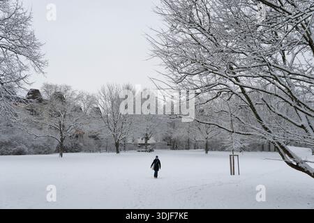 January 26, 2026, Frankfurt, Hesse, Germany: A basketball hoop is seen ...
