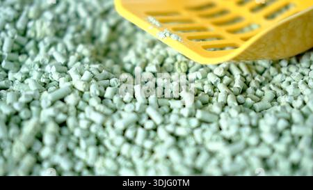 Green Cat Litter with Scoop in Litter Box Stock Photo - Alamy