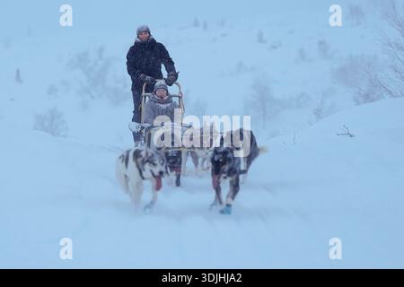 Kirkenes , Norway 20260127. Princess Ingrid Alexandra drives a dog sled ...