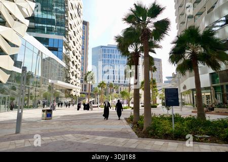 27 January 2026, Saudi Arabia, Riad: Federal Environment Minister ...