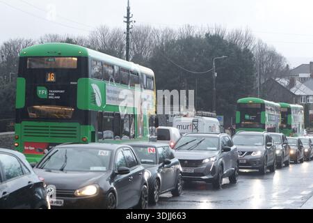 Dublin, Ireland - 27th January 2026: Tree reflected in the water of a ...