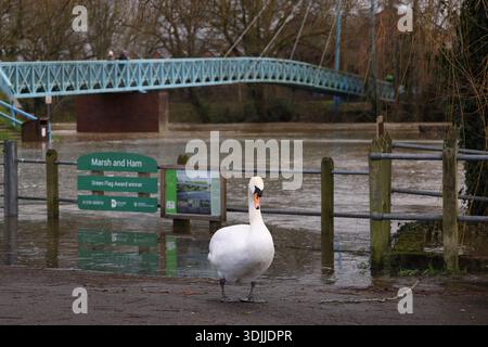 Blandford, Uk- 27th January 2026. Storm Chandra Batters the south coast ...
