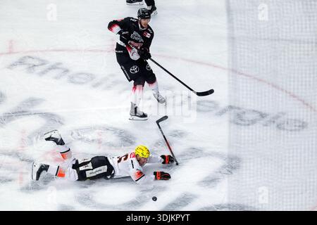 27 January 2026, North Rhine-Westphalia, Cologne: Ice hockey: DEL ...