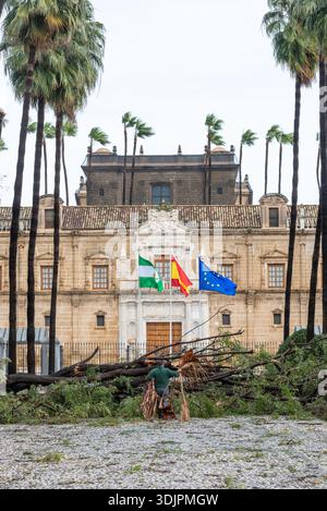 A worker cleans up fallen debris from a tree knocked over by Storm ...