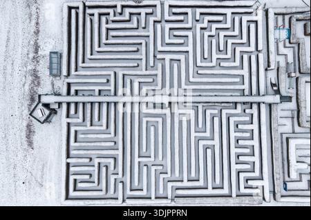 28 January 2026, Saxony, Kleinwelka: The thuja hedge plants in the ...