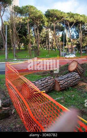 Rome, Italy. 28th Jan, 2026. Rome, Cinema Adriano Premiere of the Film ...