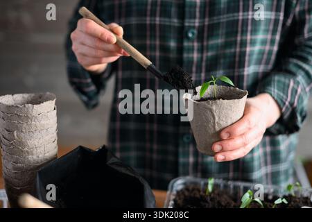 Woman with plant seedlings and gardening tools at wooden table Stock ...
