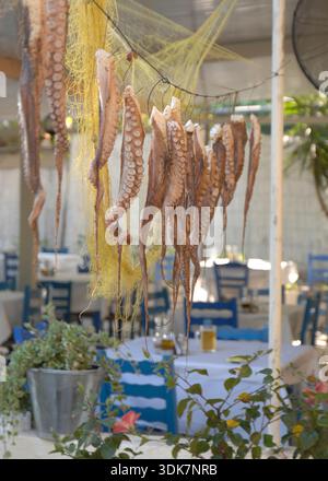 Traditional Greek taverna with octopus drying under the sun, set ...