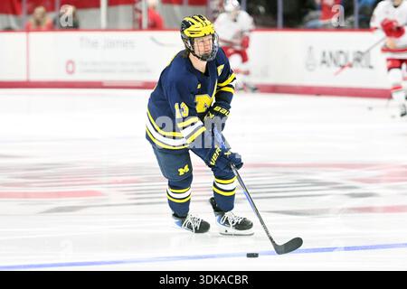 January 30, 2026: Ohio State Buckeye fans cheer their team on in their ...