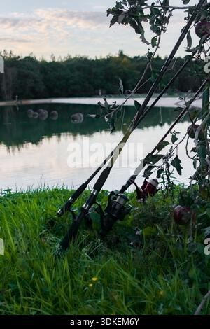 Carp Fishing Rods Set On Bank Of Lake Ready For Fishing Stock Photo - Alamy