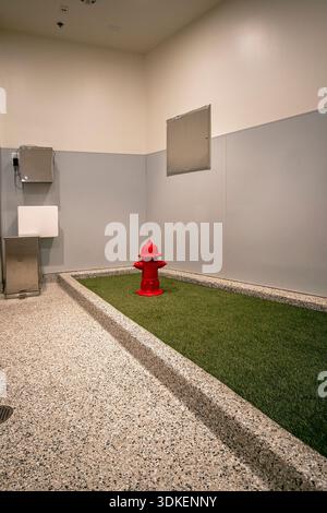 Pet relief area in the Harry Reid Las Vegas International Airport ...
