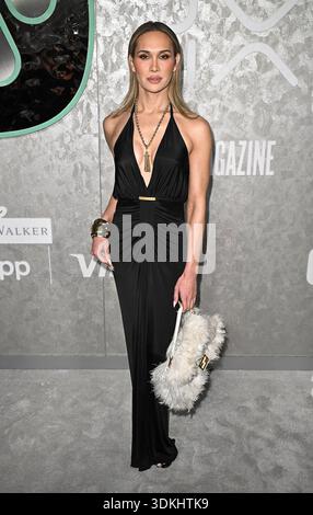 Lo Colby attends the Warner Music Group Pre-Grammy awards party on ...