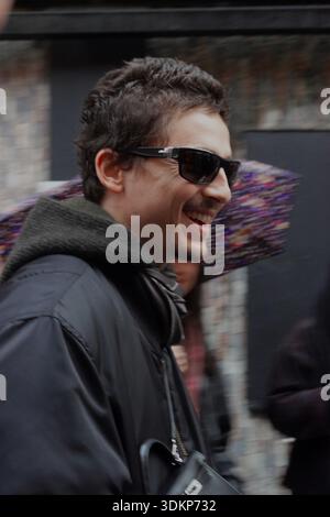 Timothee Chalamet at the Prince Charles Cinema Stock Photo - Alamy