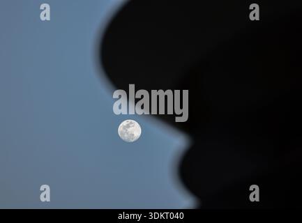 Doha, Qatar. 31st Jan, 2026. The moon appears as a full moon in the sky ...
