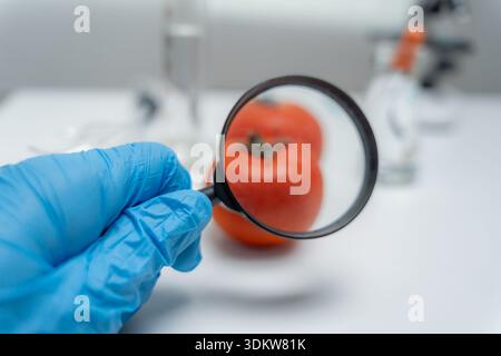 Scientist use magnifying glass to check physical occur from chemical on ...