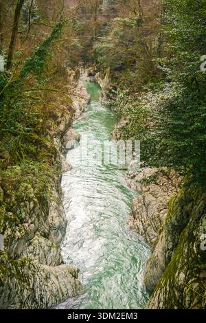 beautiful fast mountain river in autumn forest Stock Photo - Alamy